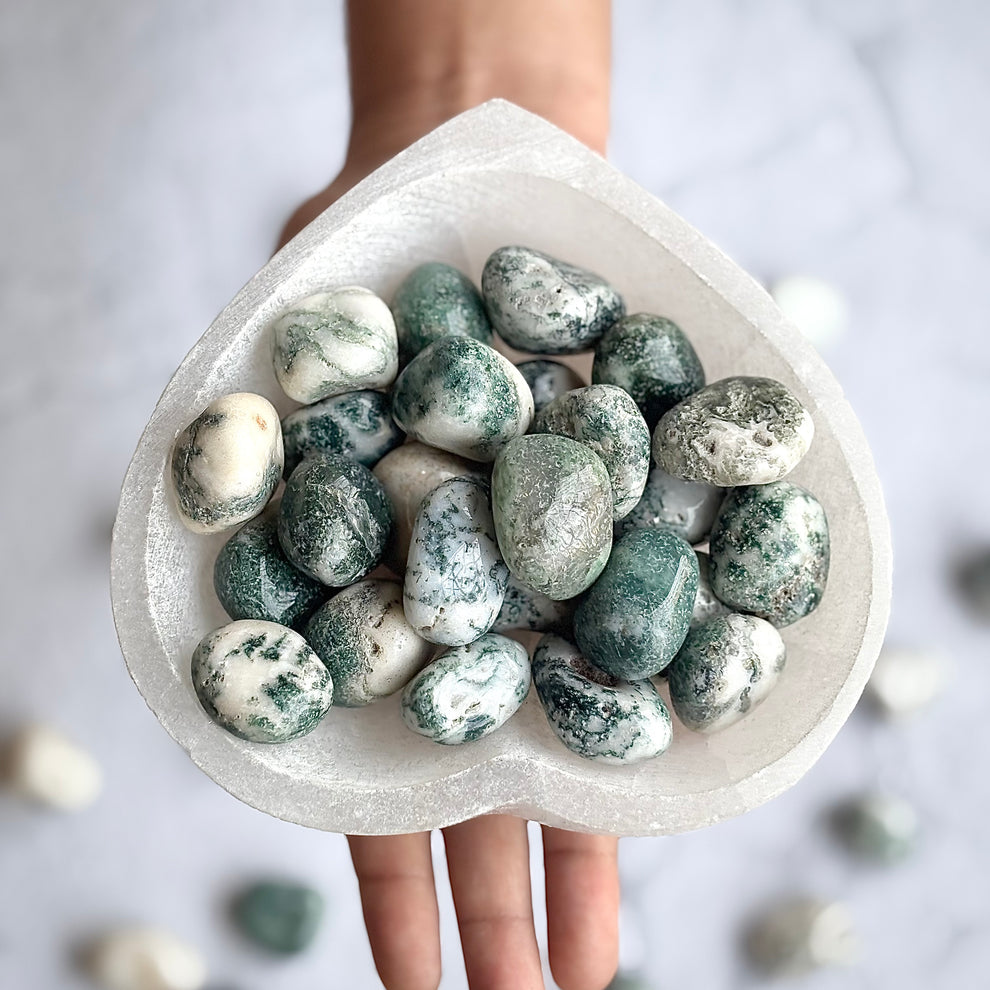 Tree Agate Tumble Stone – The Trivia Store